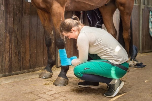 Horse Emergency First Aid: A Simple Guide to Handling Common Injuries