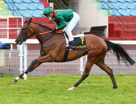 10 Legendary French Race Horses That Have Made Racing History