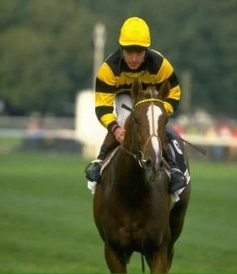 10 Legendary French Race Horses That Have Made Racing History