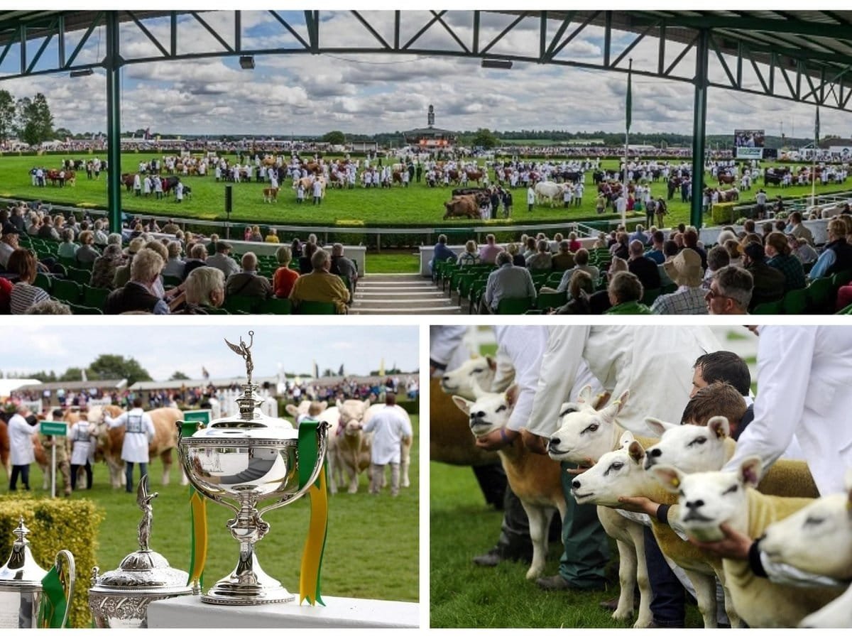 The Great Yorkshire Show: A Celebration of Horses and Equestrian Excellence