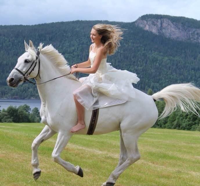 Tips for Horse Riding in Different Weather Conditions
