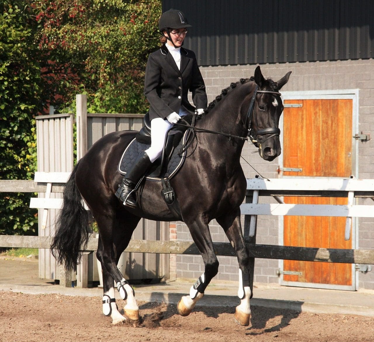 Understanding Different Horse Riding Styles: various riding styles ...