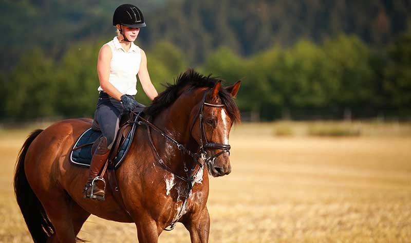 Tips for Horse Riding in Different Weather Conditions